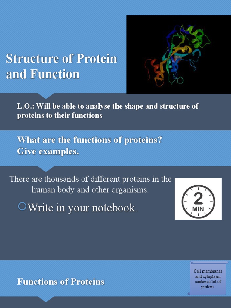 Structure of Protein and Function | PDF