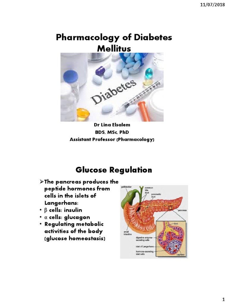 Pharmacology of Diabetes Mellitus: Glucose Regulation | PDF | Insulin ...