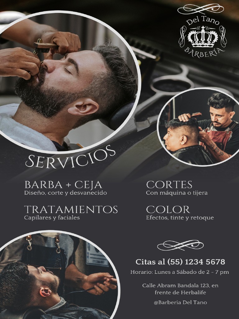 Flyer Barberia Profesional Gris - 1 | PDF