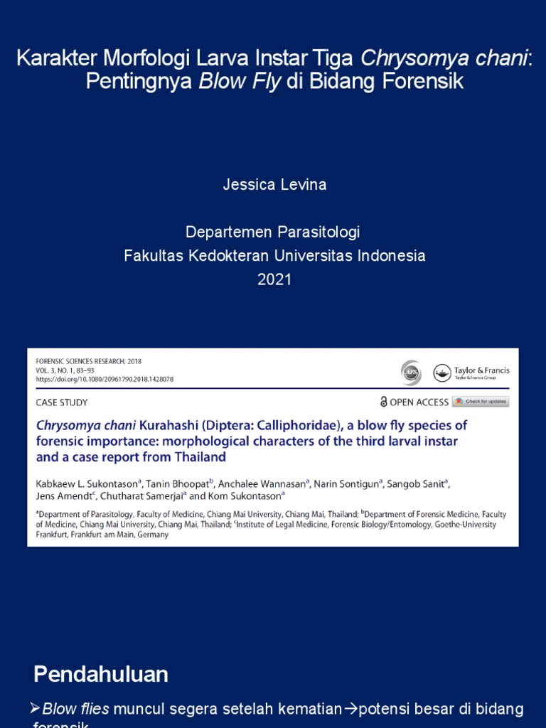 CR-Chrysomya chani Kurahashi | PDF