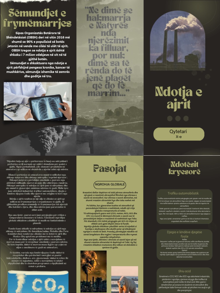 Ndotja e Ajrit - Qytetari | PDF