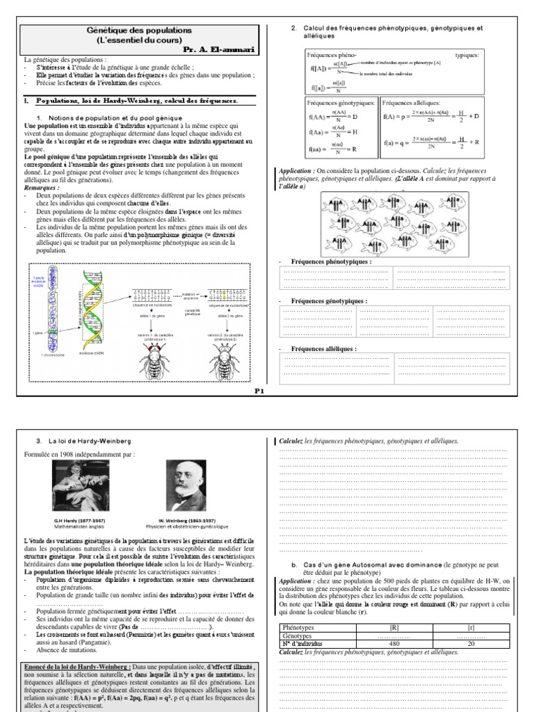 3genetique Des Populations Exercices 1 PDF | PDF | Mutation | Dominance ...
