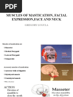 Dogfish Mouth Muscles Overview | PDF | Pelvis | Mouth