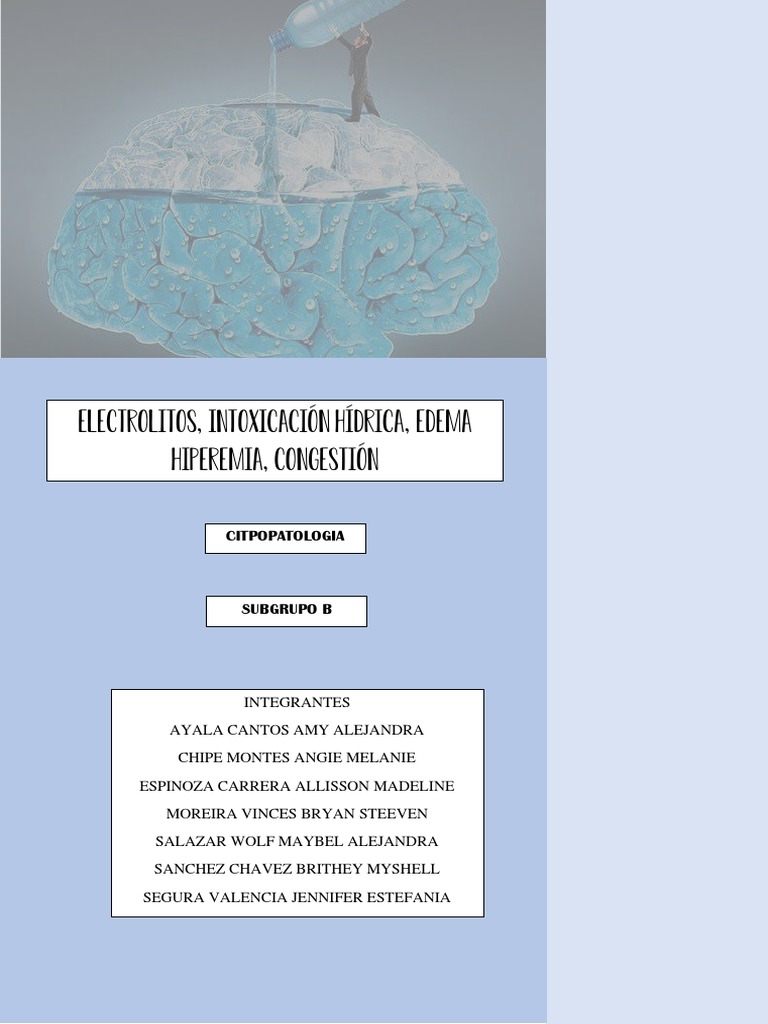 Ficha 10 Electrolitos. | PDF | Electrólito | Sangre