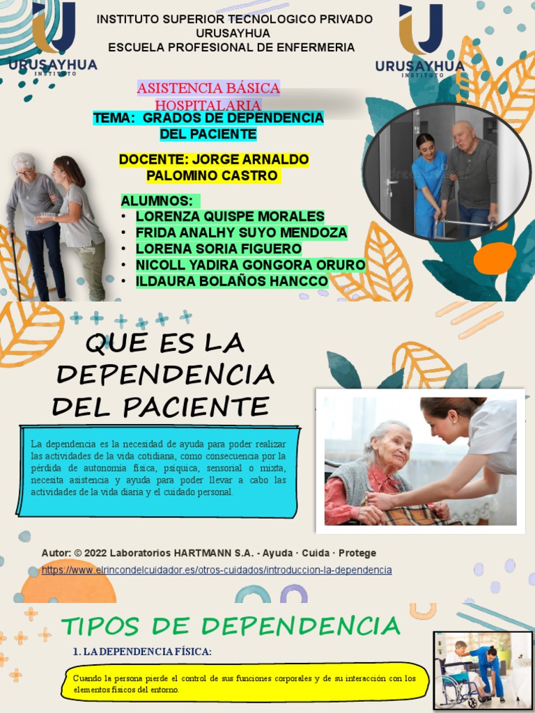 Grados De Dependencia Del Paciente Pdf Enfermería Epidemiología