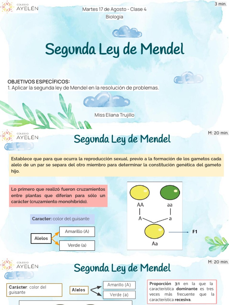 Segunda Ley de Mendel: Resumen y Ejemplos | PDF | Dominancia (Genética ...