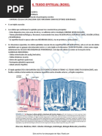 Administración Por Via Cutanea | PDF | Medicamentos con receta | Piel
