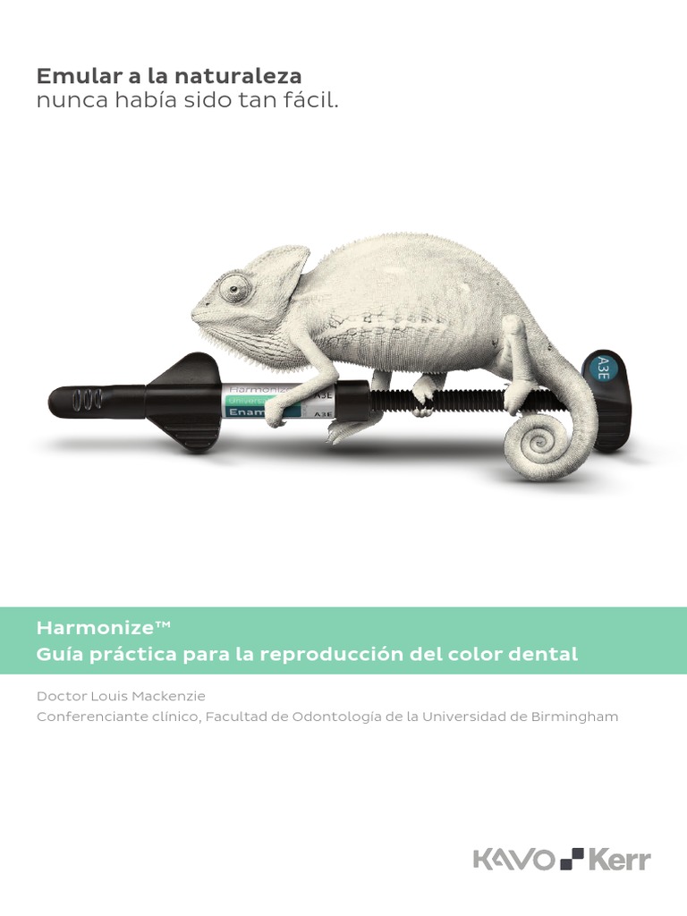 Harmonize Shade Guide 10.1.20 ES PDF | PDF | Color | Esmalte de dientes