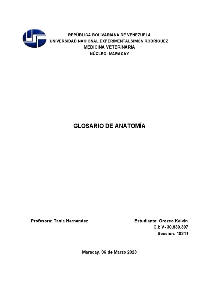 Glosario Anatomia Pdf