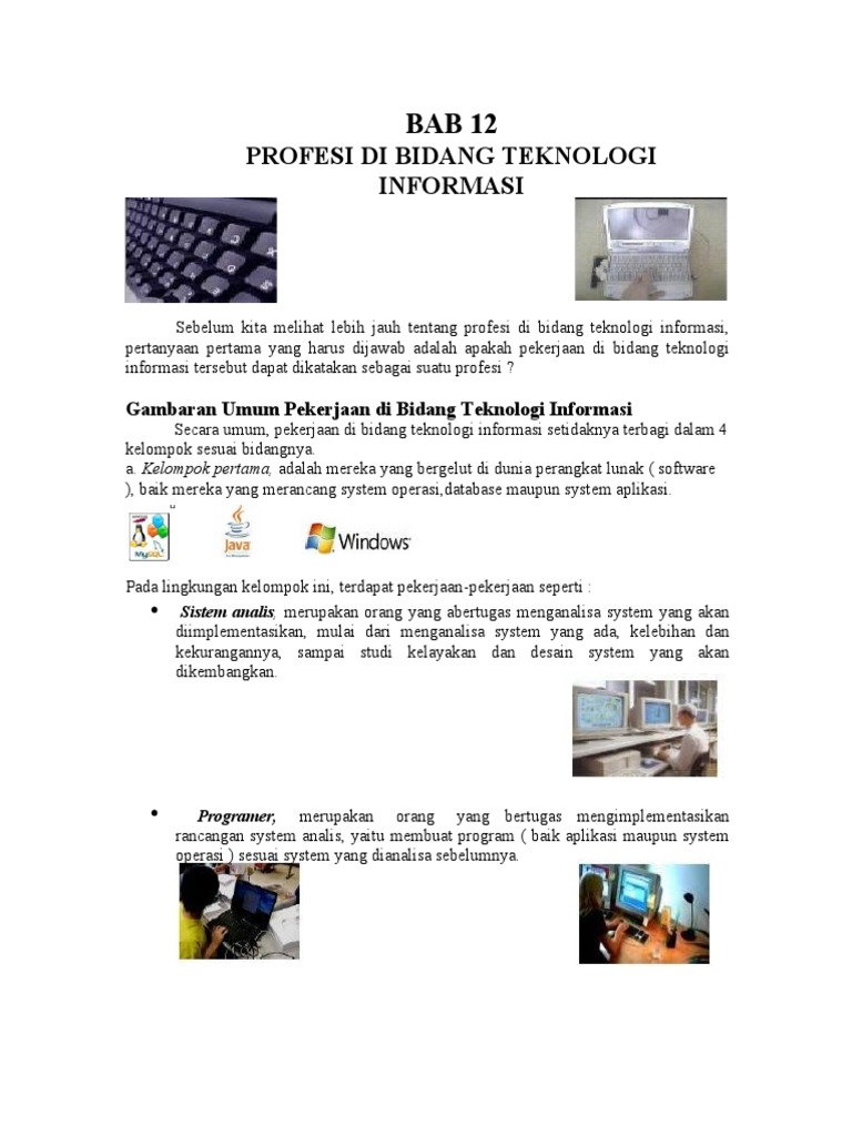 Bab 12 Profesi Di Bidang It | PDF