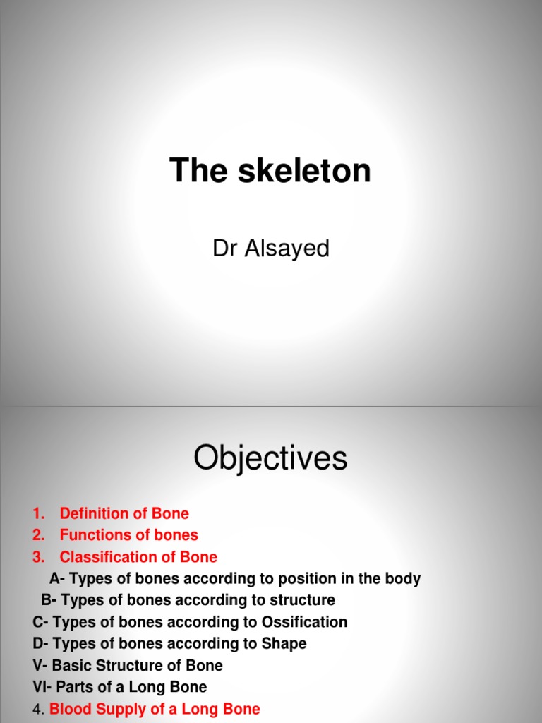 The Skeleton | PDF | Bone | Skeleton