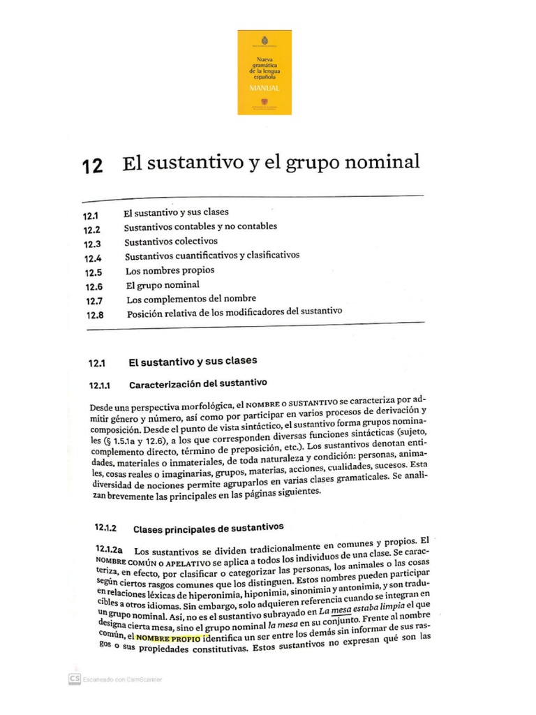 Sustantivo y Verbos. Teoría | PDF | Género gramatical | Sustantivo