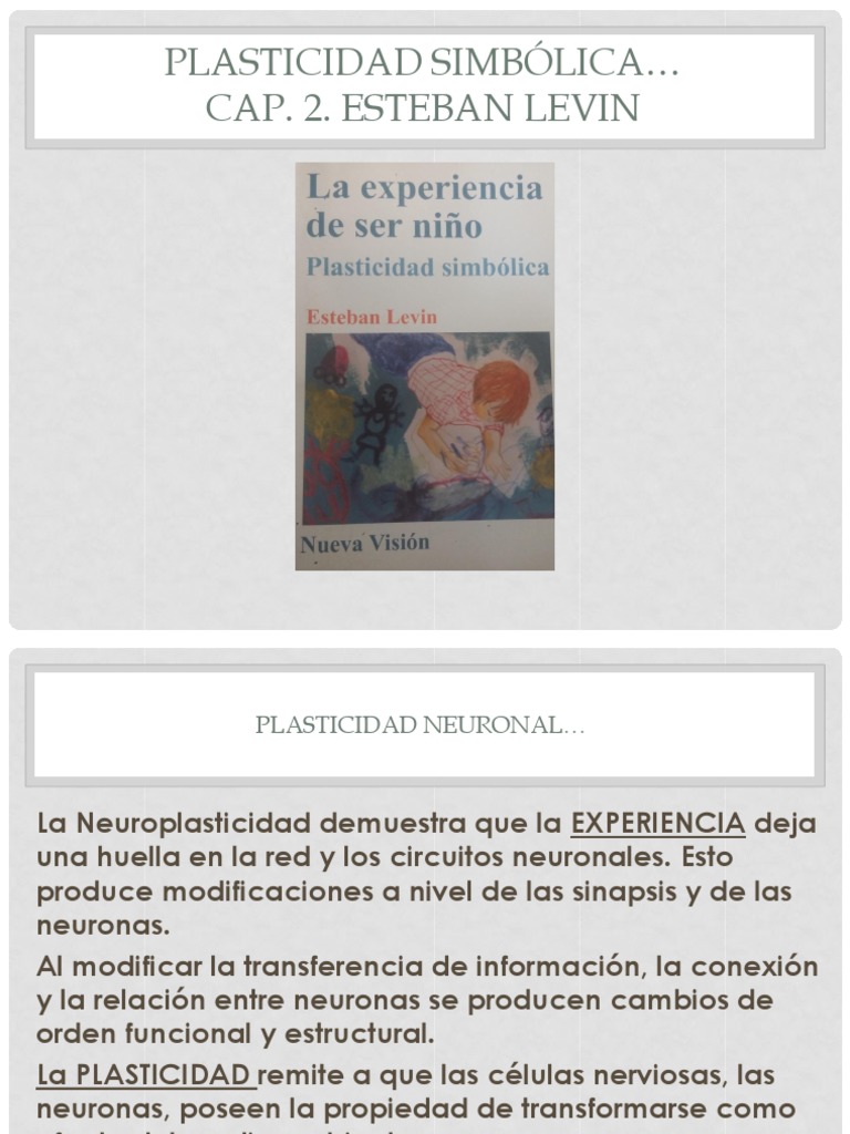 Plasticidad Simbólica - Levin | PDF | Neuroplasticidad | Neurona