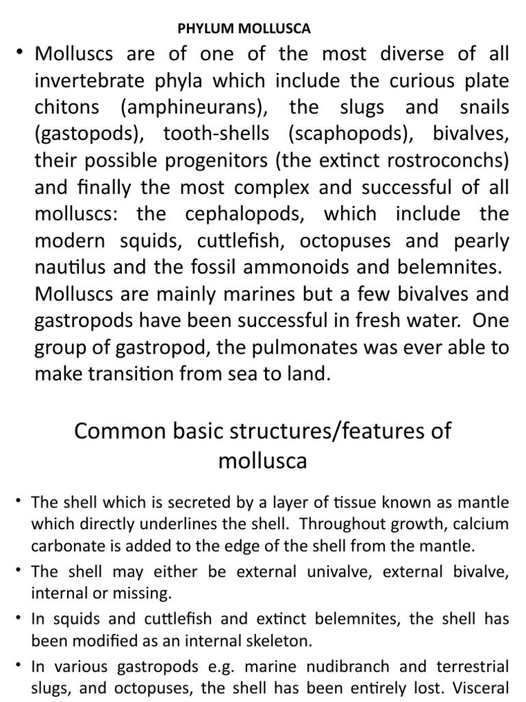 Phylum Mollusca | Download Free PDF | Mollusca | Bivalvia