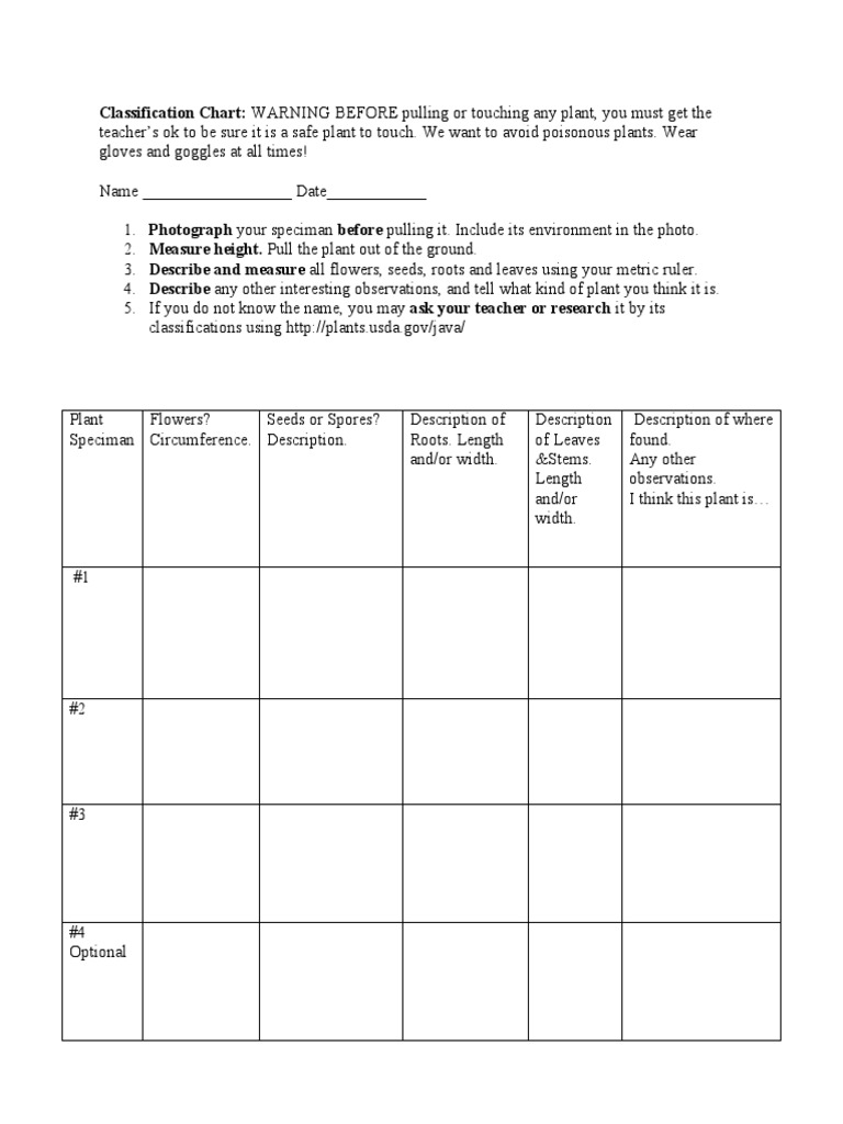 Classification Chart & Assignment - Plant | PDF | Flowers | Leaf