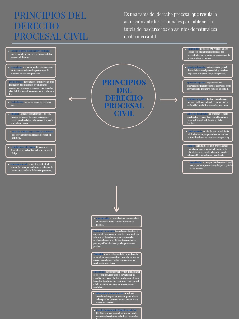 Mapa Conceptual-Rafael Cano-D.procesal Civil I | PDF | Ley procesal | Debido al proceso