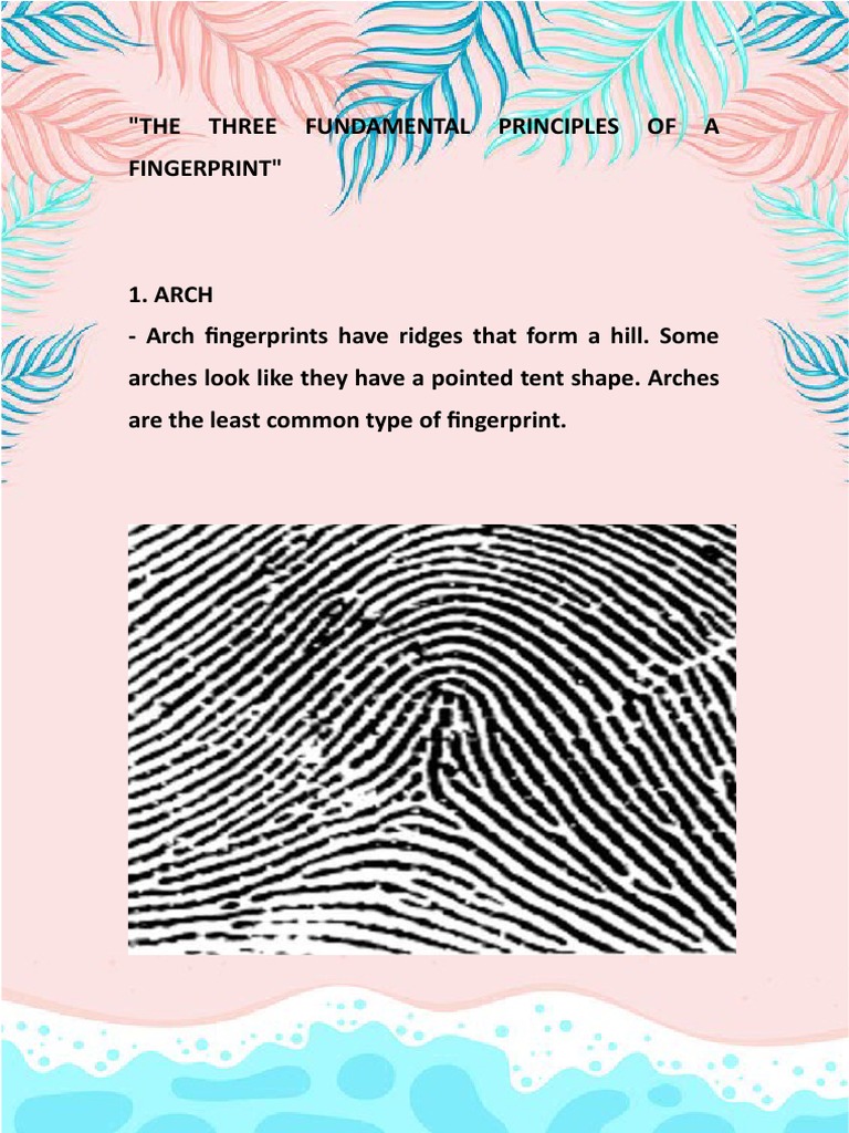 Fingerprint Patterns: Arch, Loop, Whorl | PDF