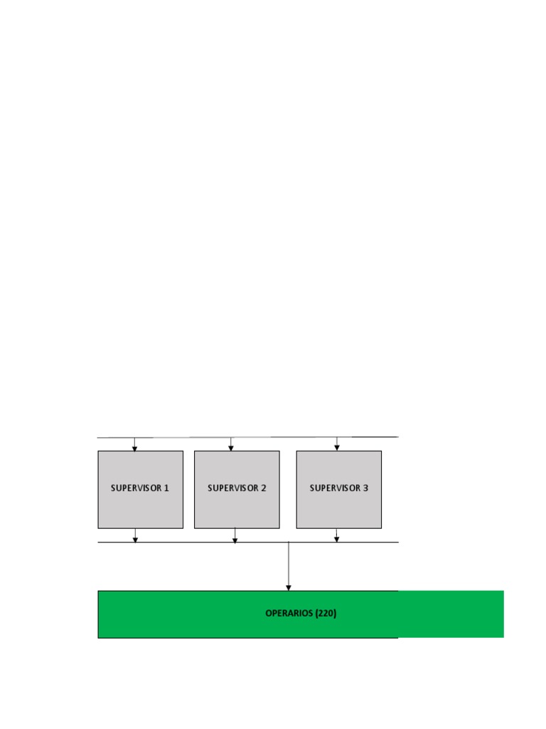 Organigrama Condores Sa | PDF | Business | Liderazgo