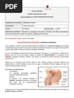 2.7. Exploración Testicular. 2.8. Escroto. 2.9. Técnicas y Maniobras de ...