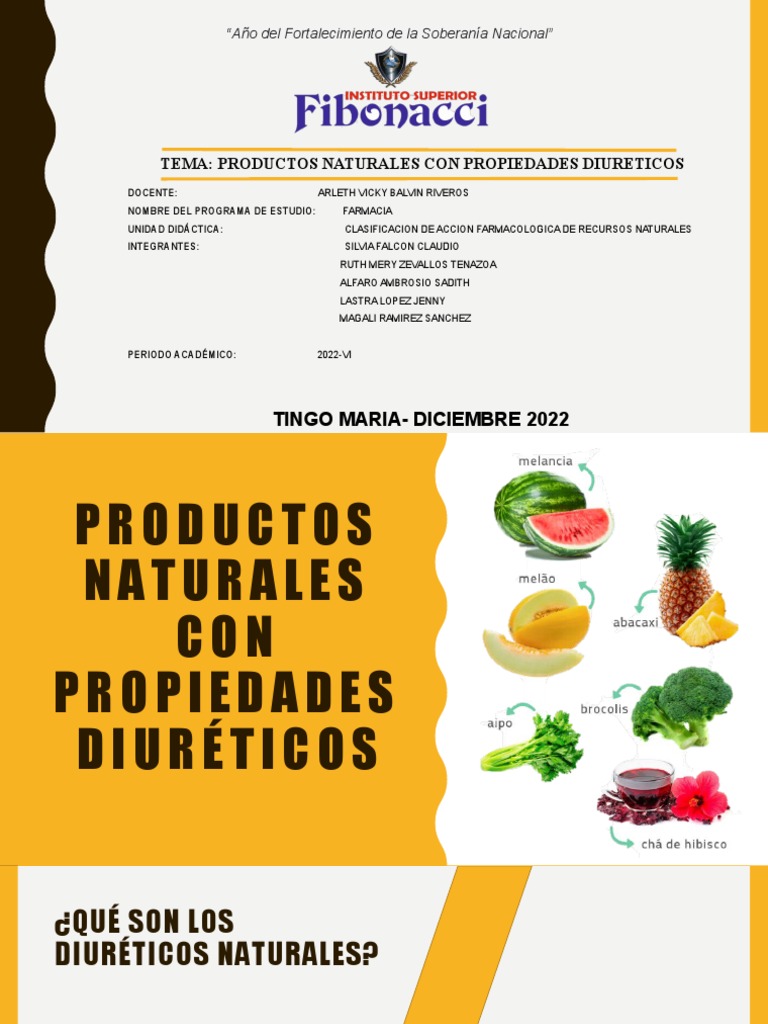 Productos Naturales Con Propiedades Diuréticos..... Terminado | PDF