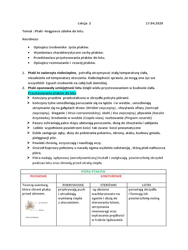 Biologia Klasa 6 Ptaki Kregowce Zdolne Do Lotu 1587121568 | PDF