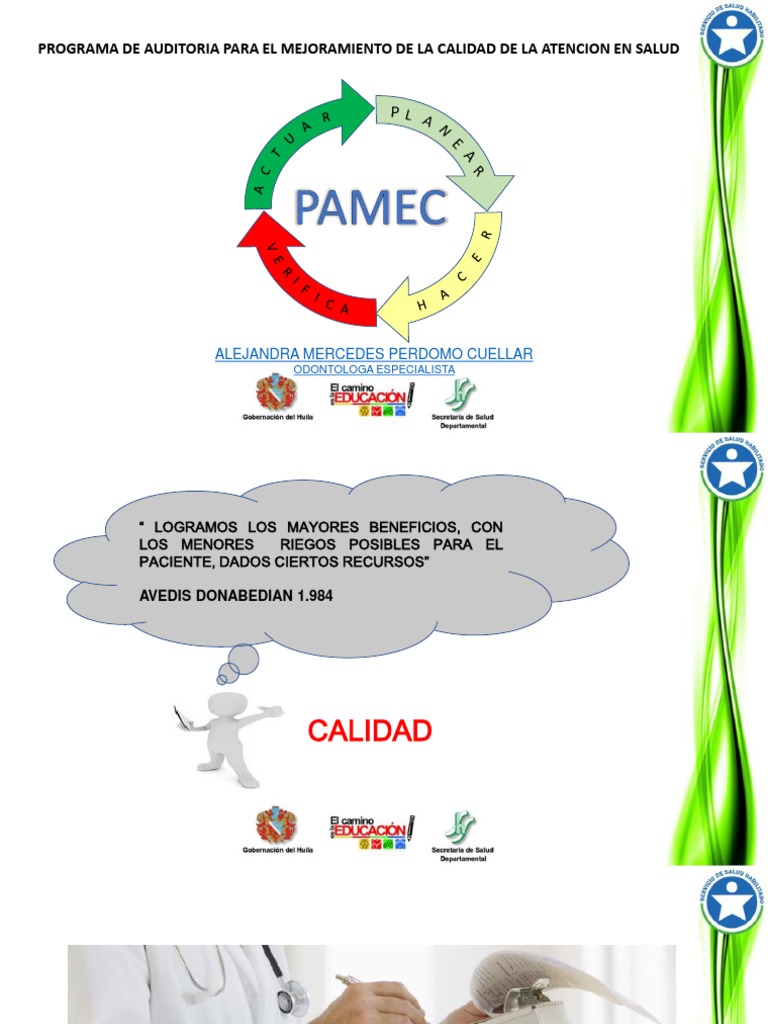Area Pamec PDF | PDF | Auditoría | Evaluación