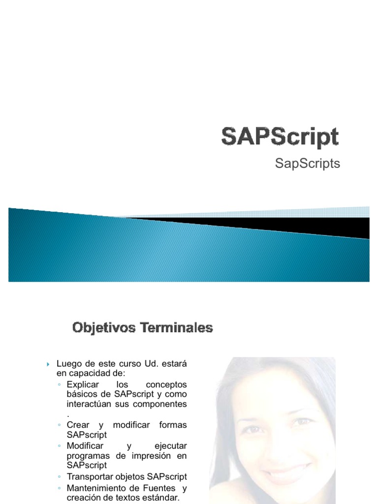 SapScript | PDF | Programa de computadora | Programación