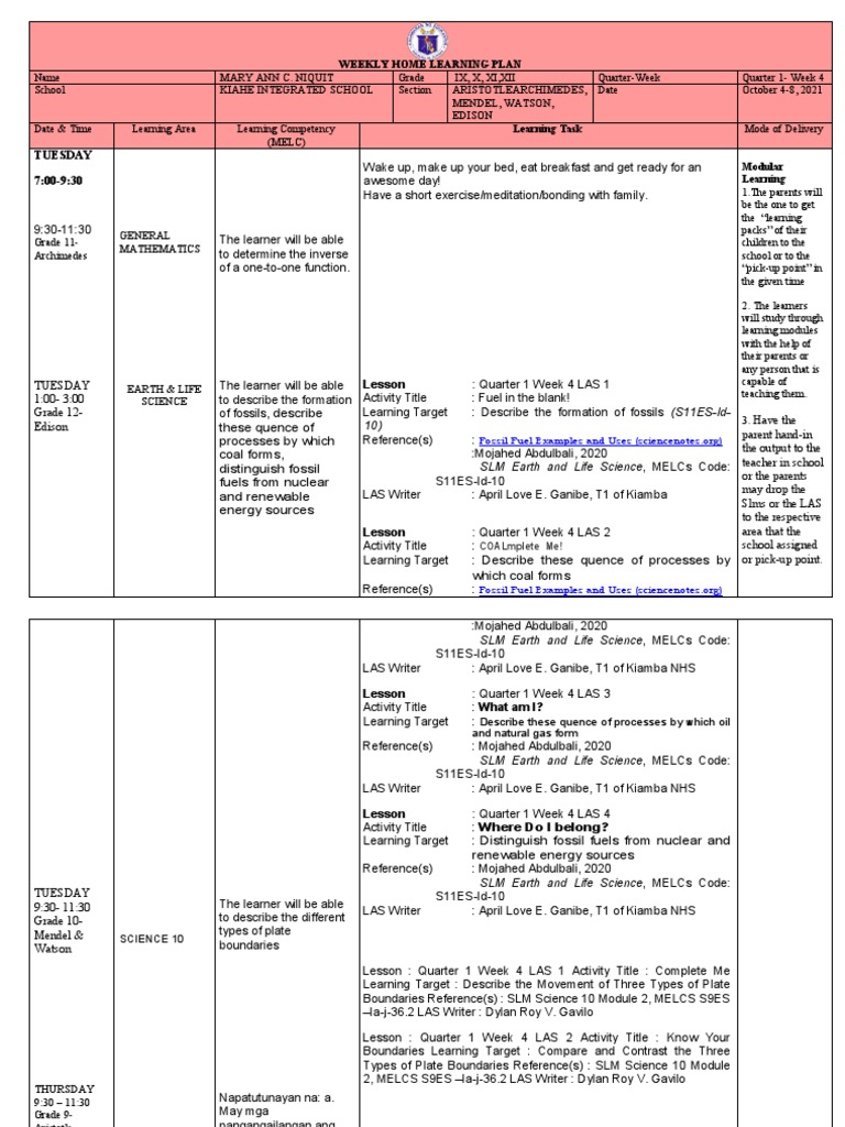 WHLP-Q 1-W4 - S.Y. 2021-2022-Anne | PDF | Learning | Fuels