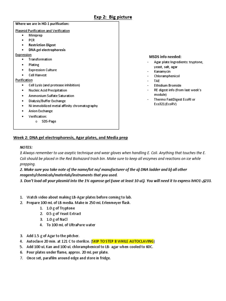 Mathematics Pdf Gel Electrophoresis Agarose Gel Electrophoresis