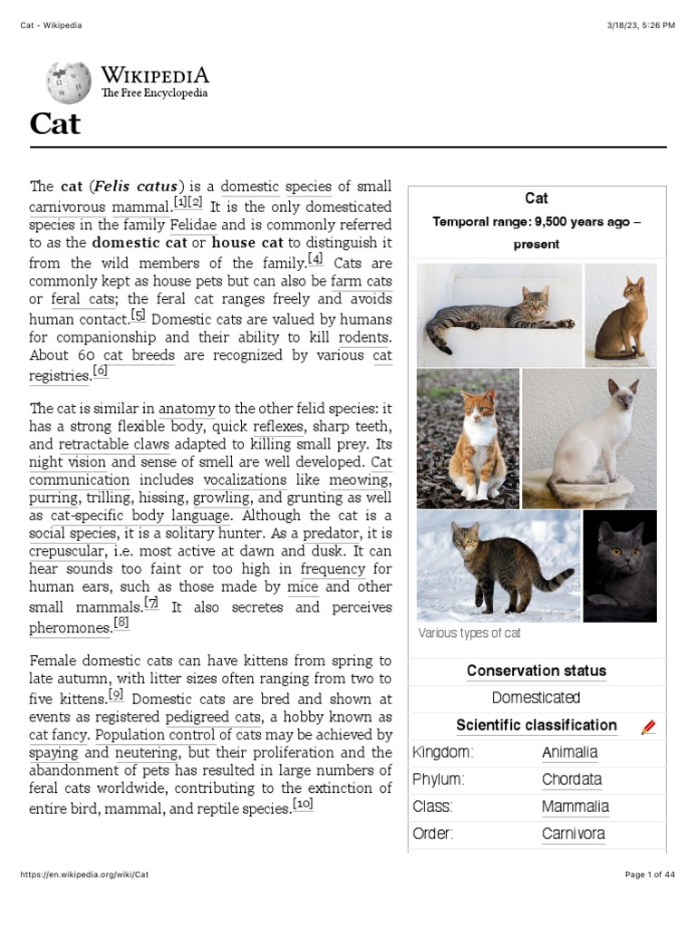Cat - DDD | PDF | Cats | Neutering