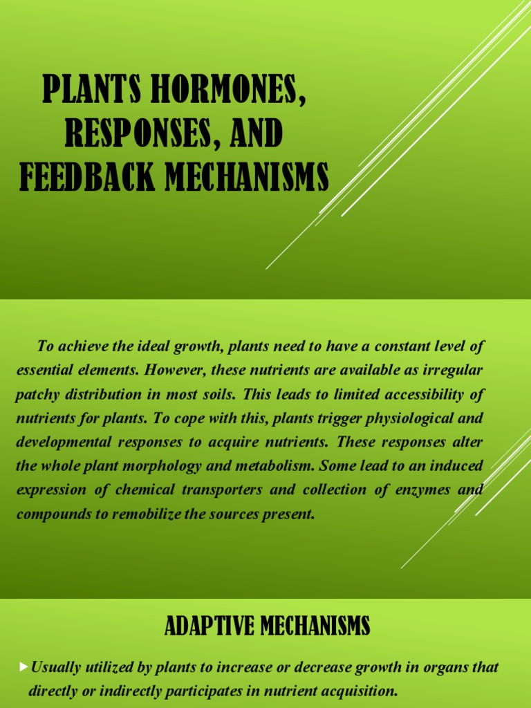 Plant Hormones and Adaptive Growth Mechanisms | PDF | Plant Hormone ...