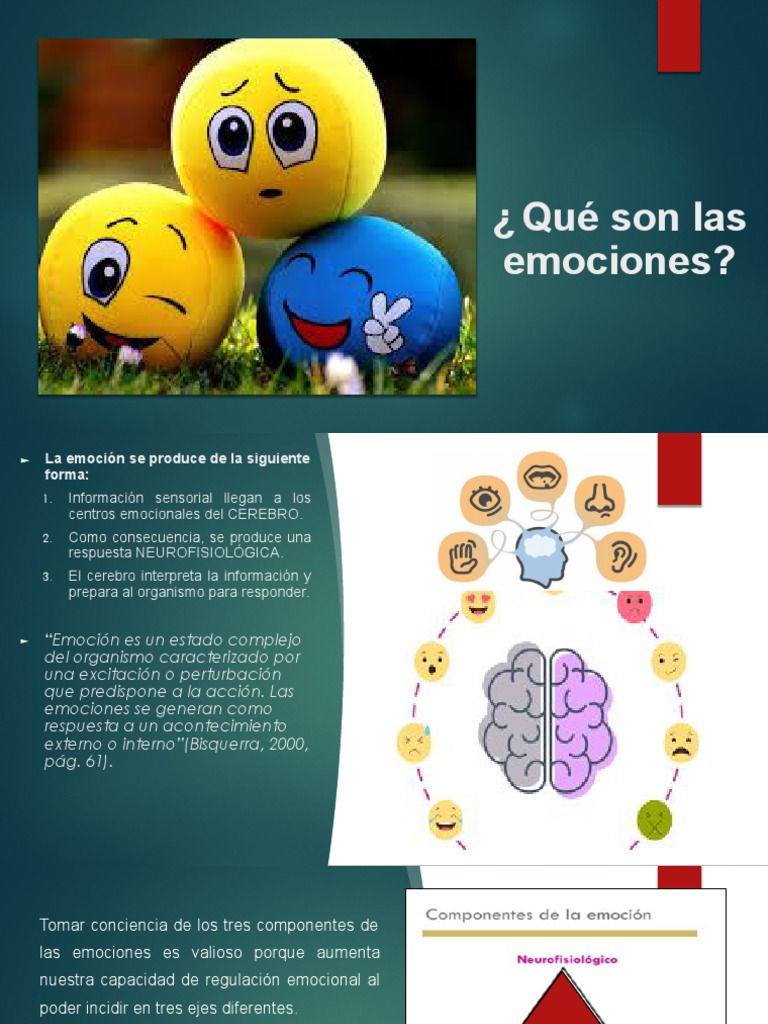 1 1 2 Las Emociones Pdf Las Emociones Sicología