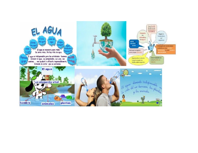 Collage de La Importancia Del Agua | PDF