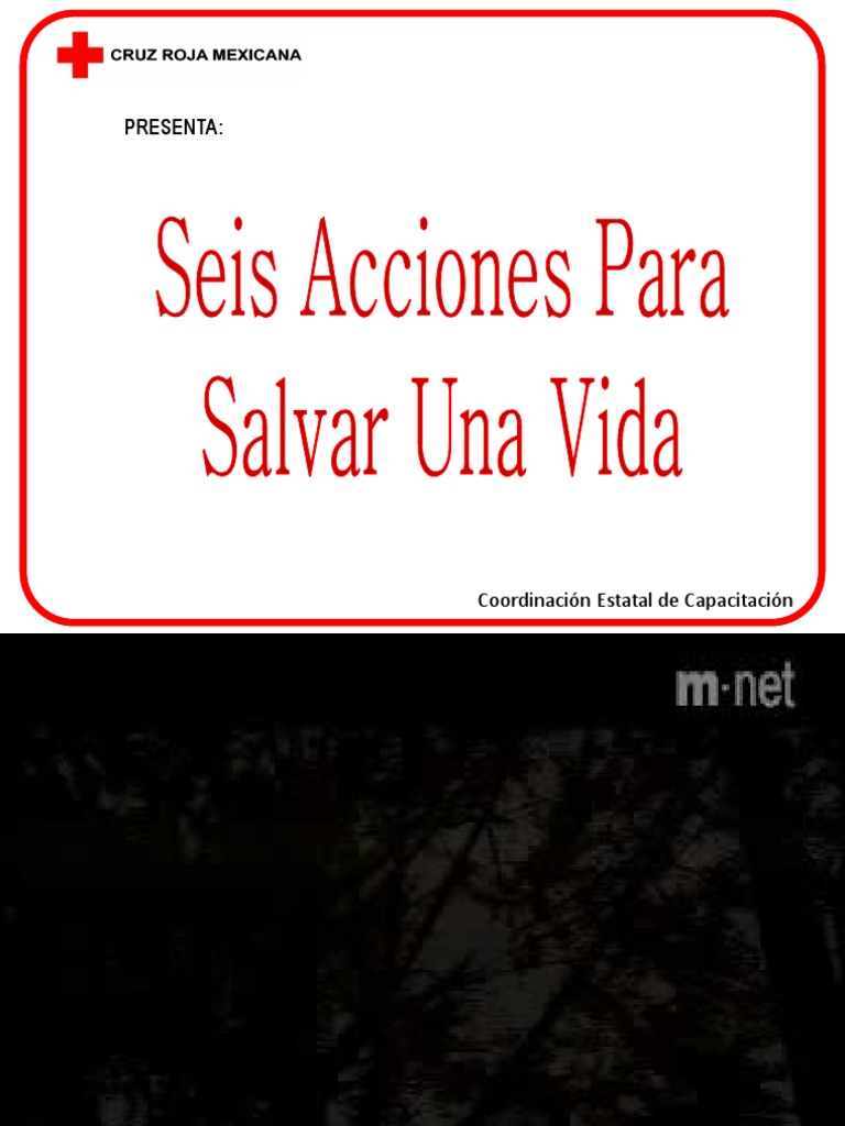 Seis Acciones para Salvar Una Vida Nivel 1 PDF | PDF | Herida | Quemar