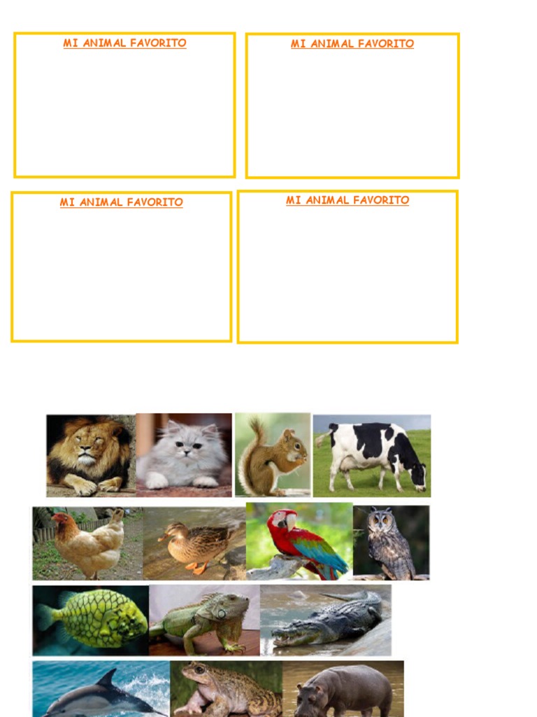 Los diferentes tipos de cobertura animal | PDF | Piel | Pluma