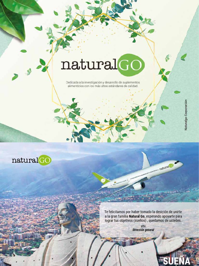 Catálogo Productos Natural Go PDF | PDF | Antioxidante | Sistema inmune