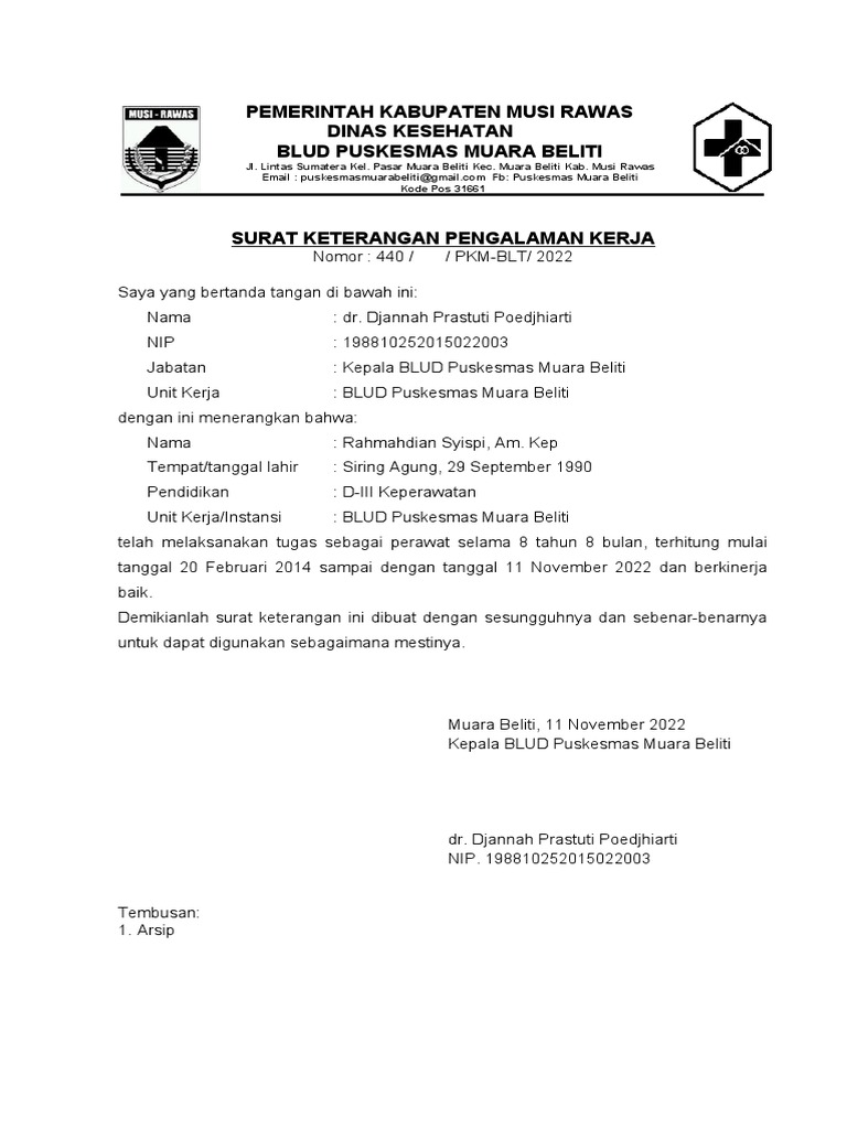Pengalaman Kerja | PDF