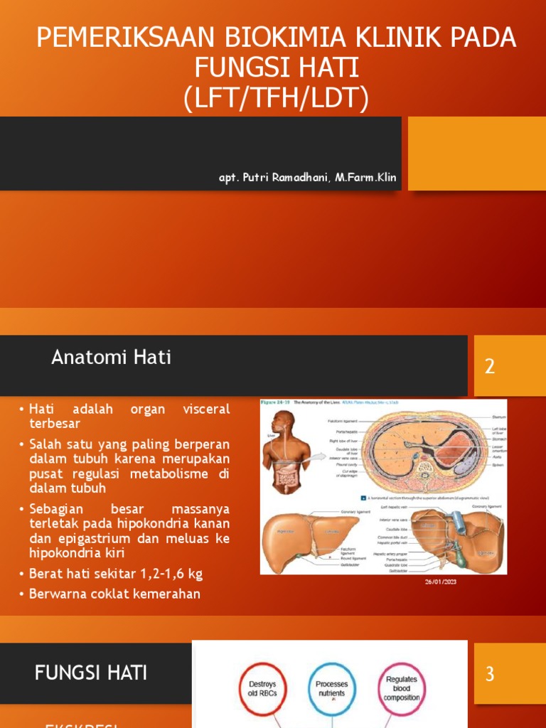 Kul 3 Pem Bioklin Pada Metab Bilirubin Direk, Indirek PDF | PDF