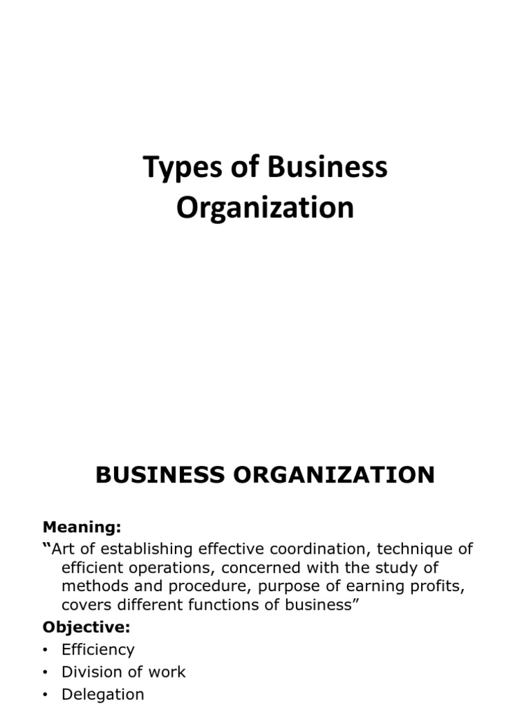 Definition of Business Organization | PDF