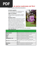 30 Palabras Indígenas de México y Su Significado | PDF | Lengua ...