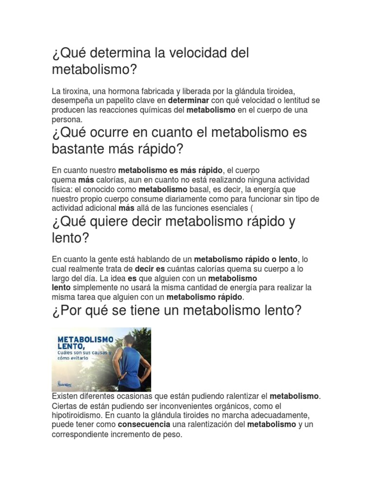 Qué Determina La Velocidad Del Metabolismo | PDF | Metabolismo | Tiroides