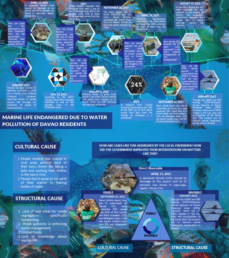 Marine Life Endangered Due To Water Pollution of Davao Residents | PDF | Marine Biology ...