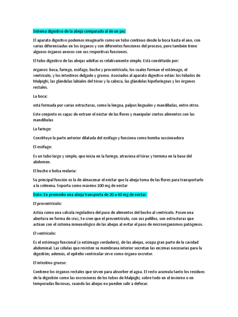 Digestión: Abeja vs. Pez | PDF | Sistema digestivo humano | Digestión