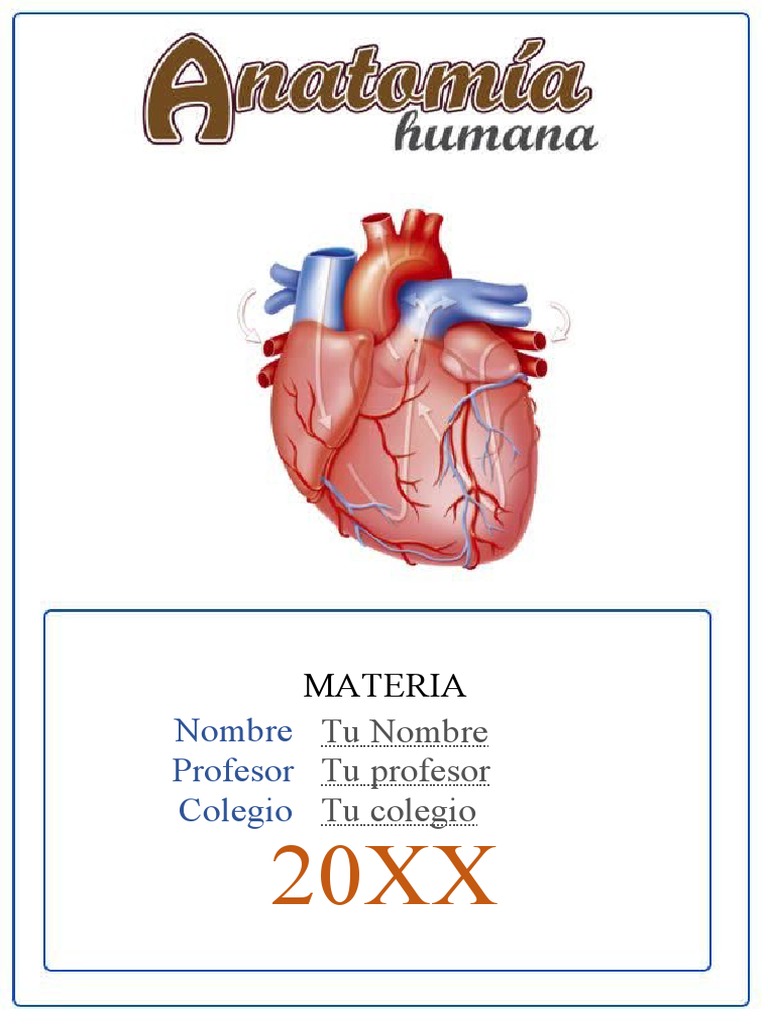 Caratula de Anatomía en Word | PDF