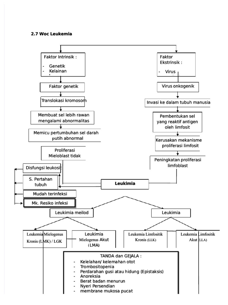 PDF Woc Leukemia - Compress PDF | PDF