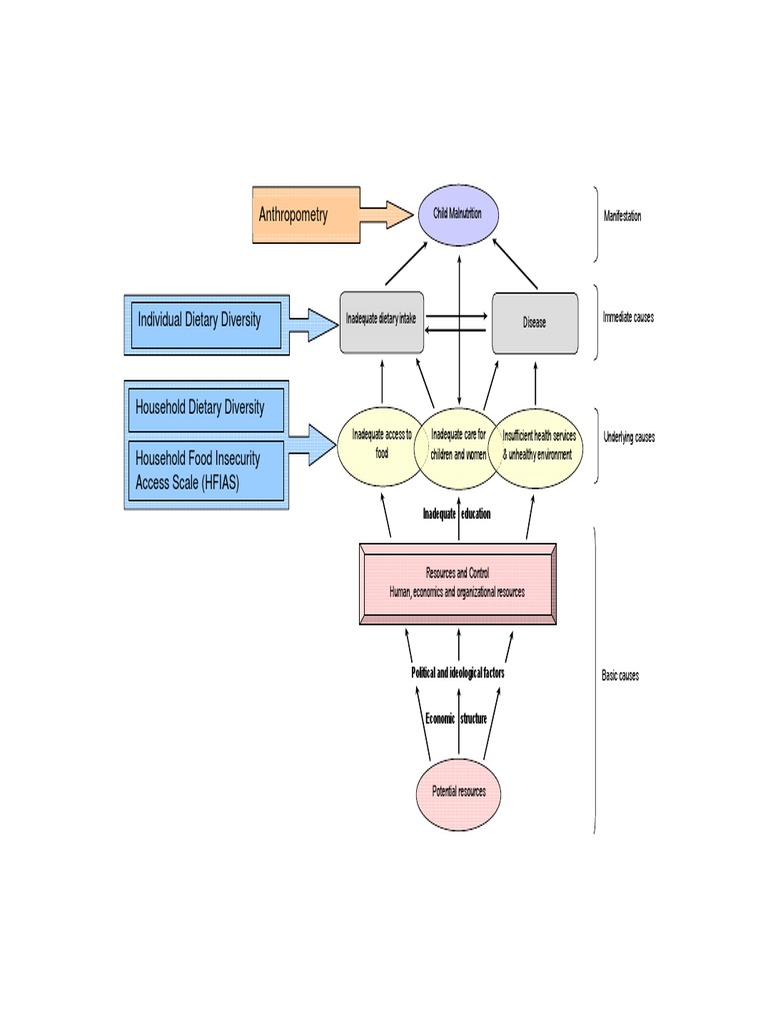 UNICEF Conceptual Framework PDF | PDF