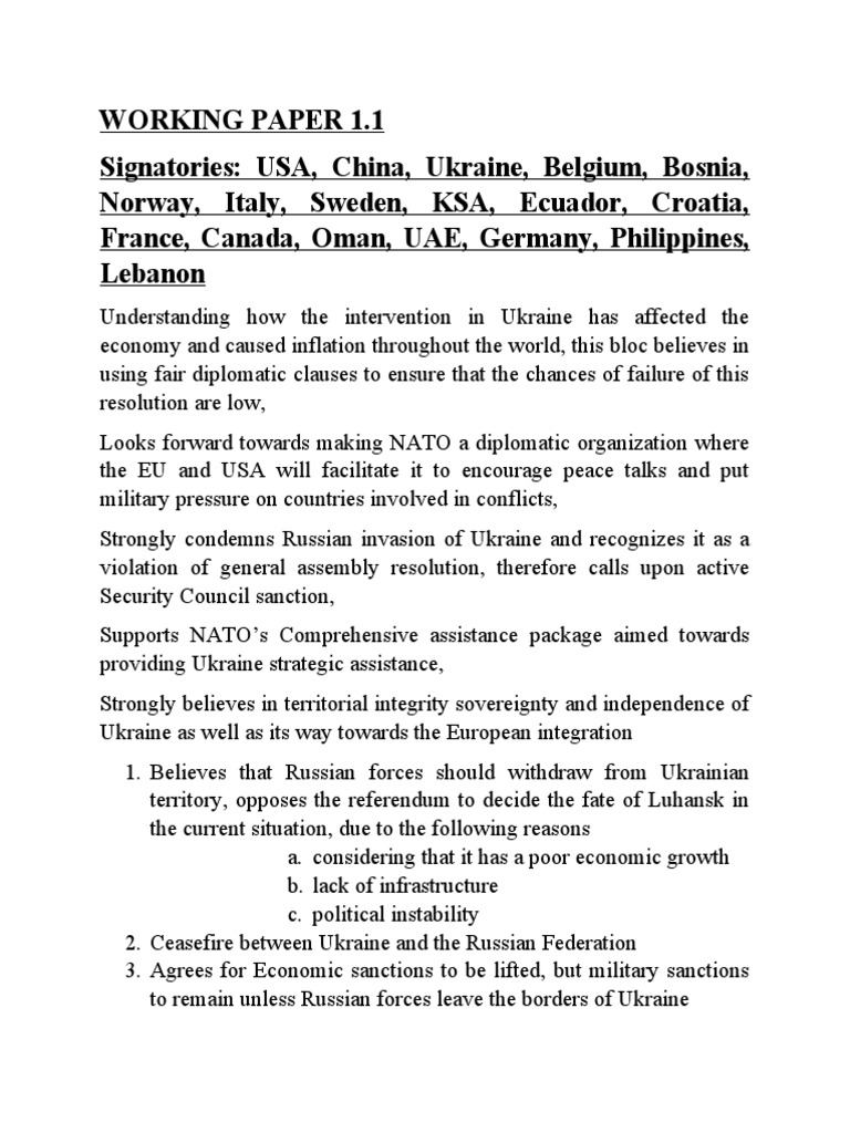 MUN Working Paper on Ukraine Conflict | PDF