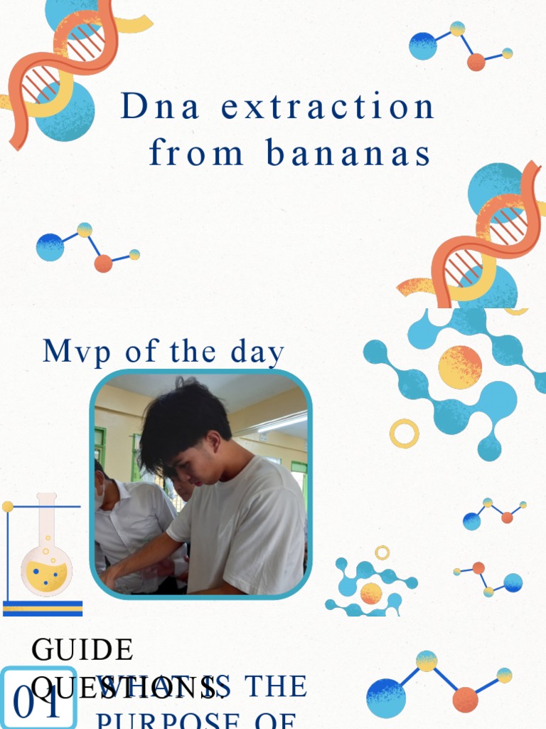 Banana DNA Extraction Process Explained | PDF | Cell (Biology) | Cell ...
