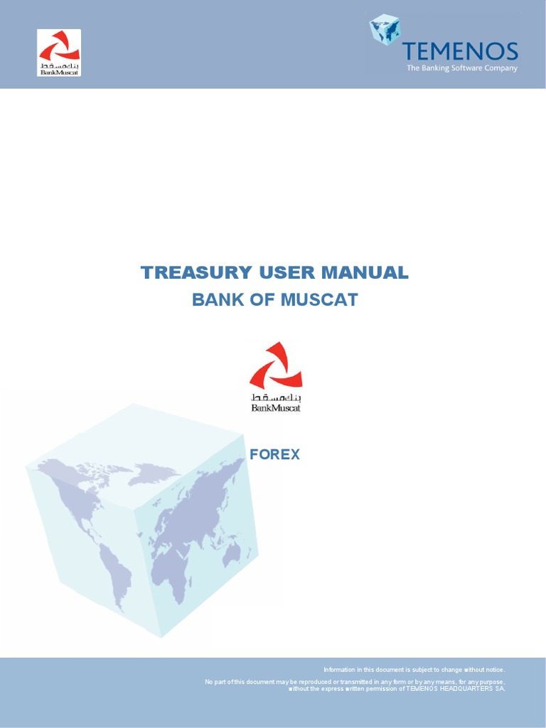 BMM - Treasury Sanity Doc Mock | PDF | Foreign Exchange Market ...
