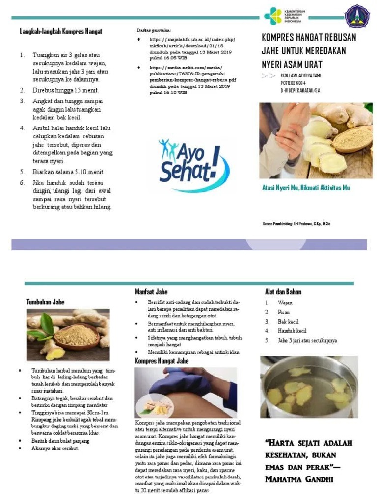 leaflet Rematik | PDF